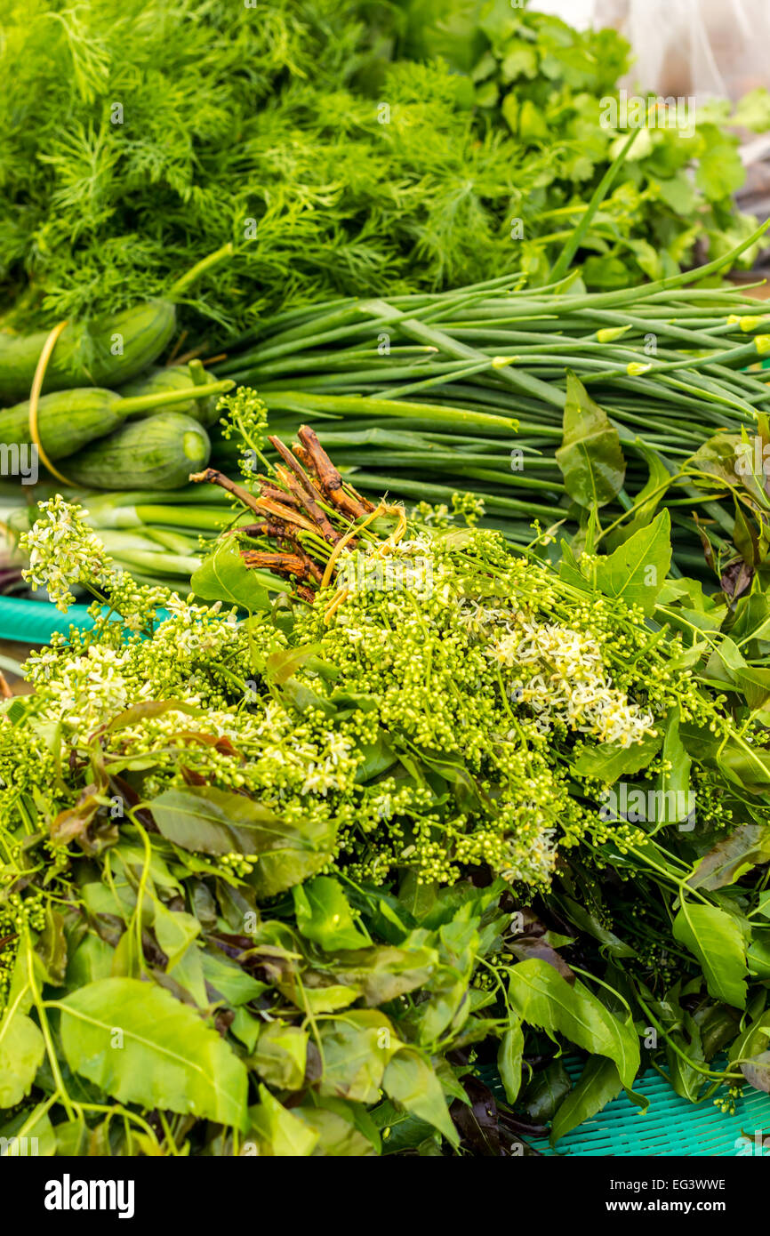 The Vegetables, chemical-free, organic vegetables, green vegetables ...