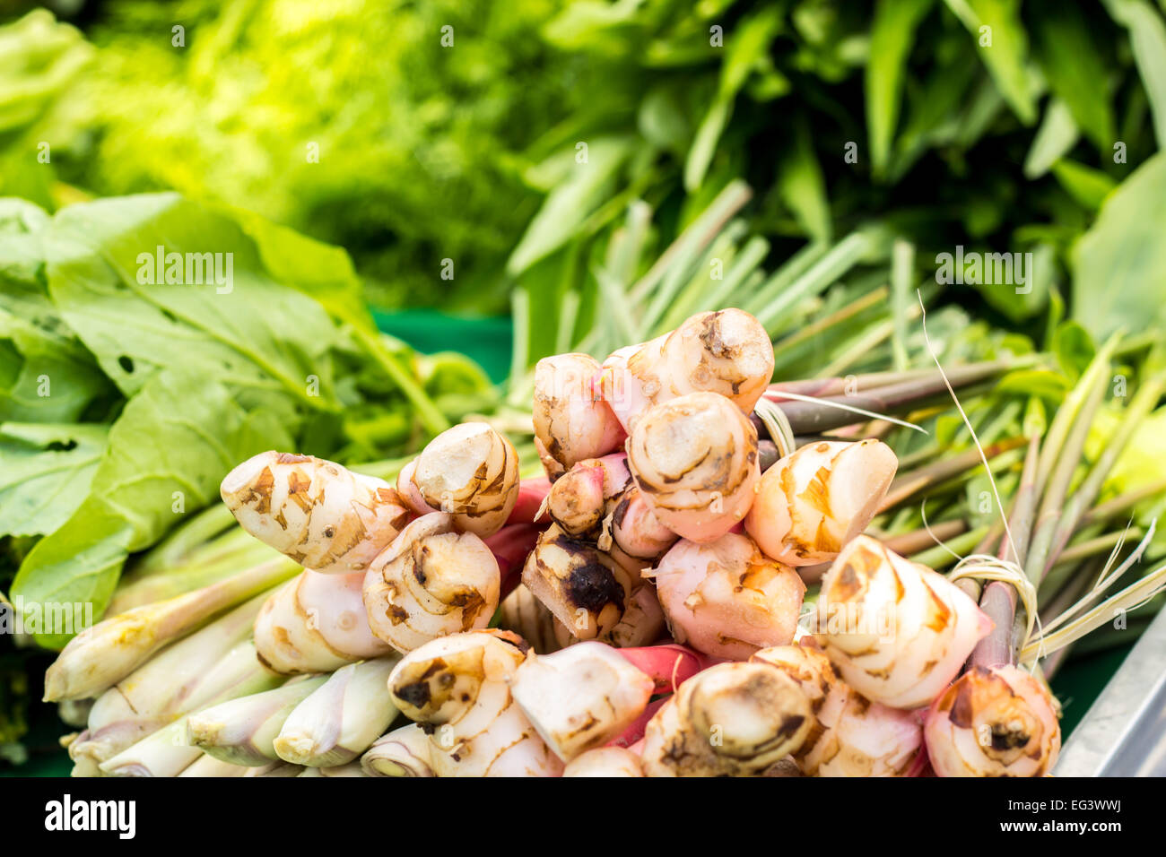 The Vegetables, herbs, vegetables, green, organic vegetables, organic ...