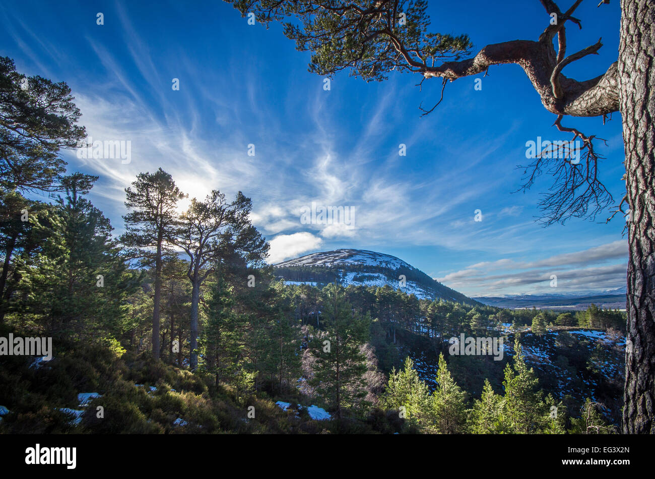 Caorngorms hi-res stock photography and images - Alamy