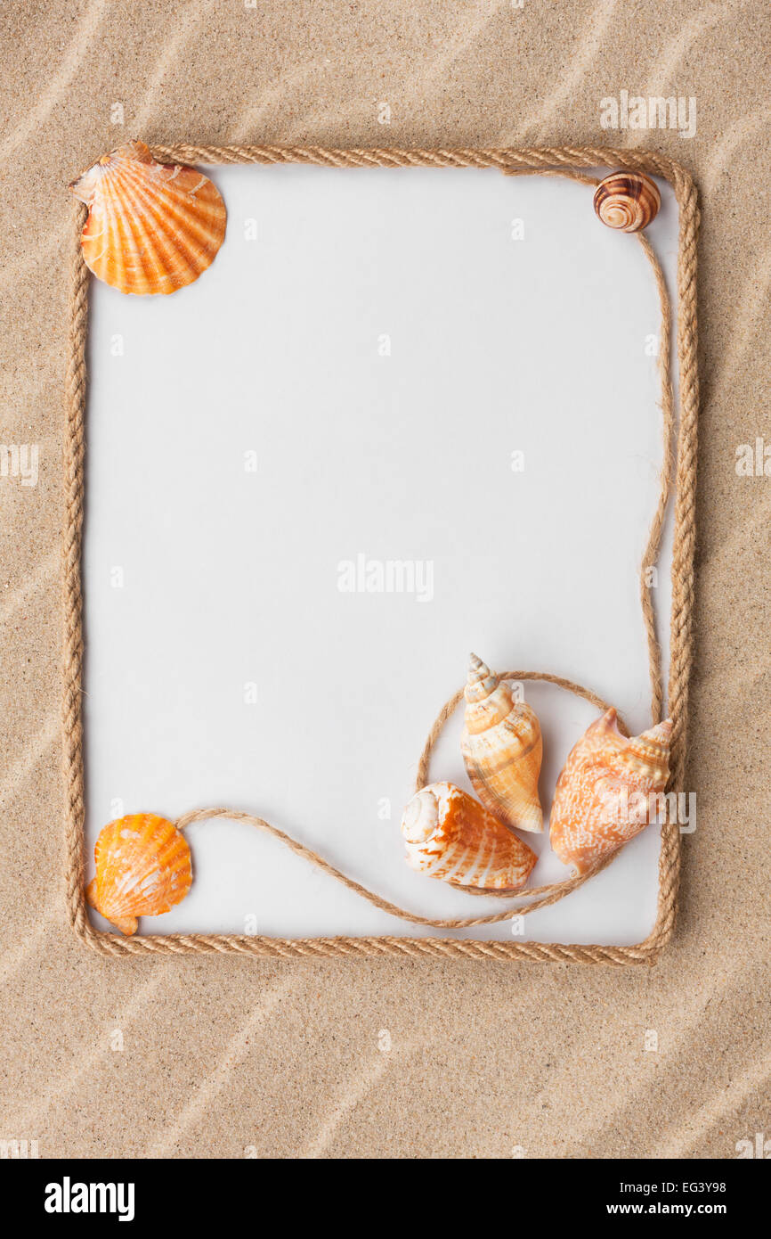 Beautiful frame of rope and sea shells with a white background on the ...