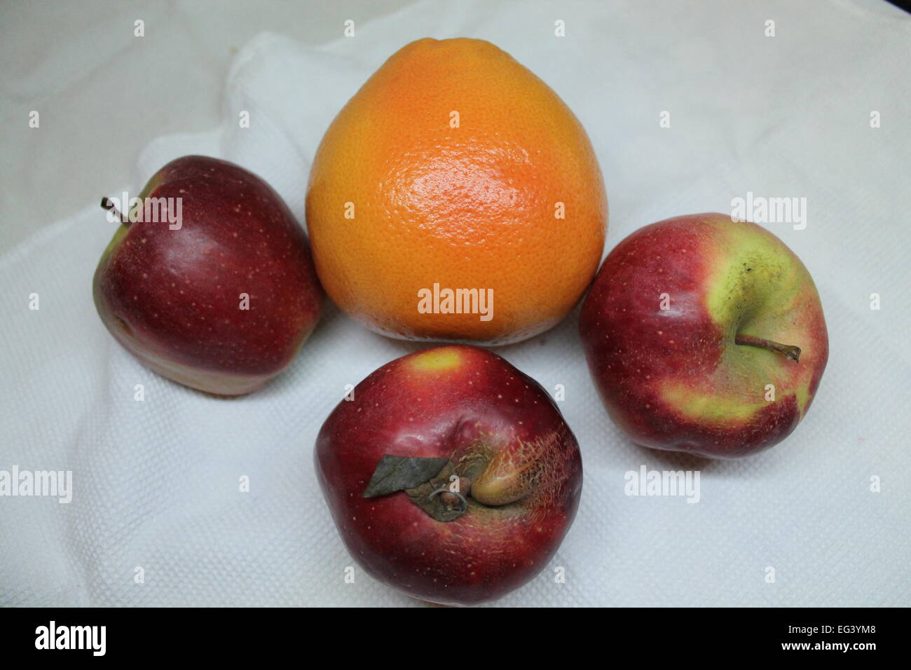 How to draw fruits hi-res stock photography and images - Alamy