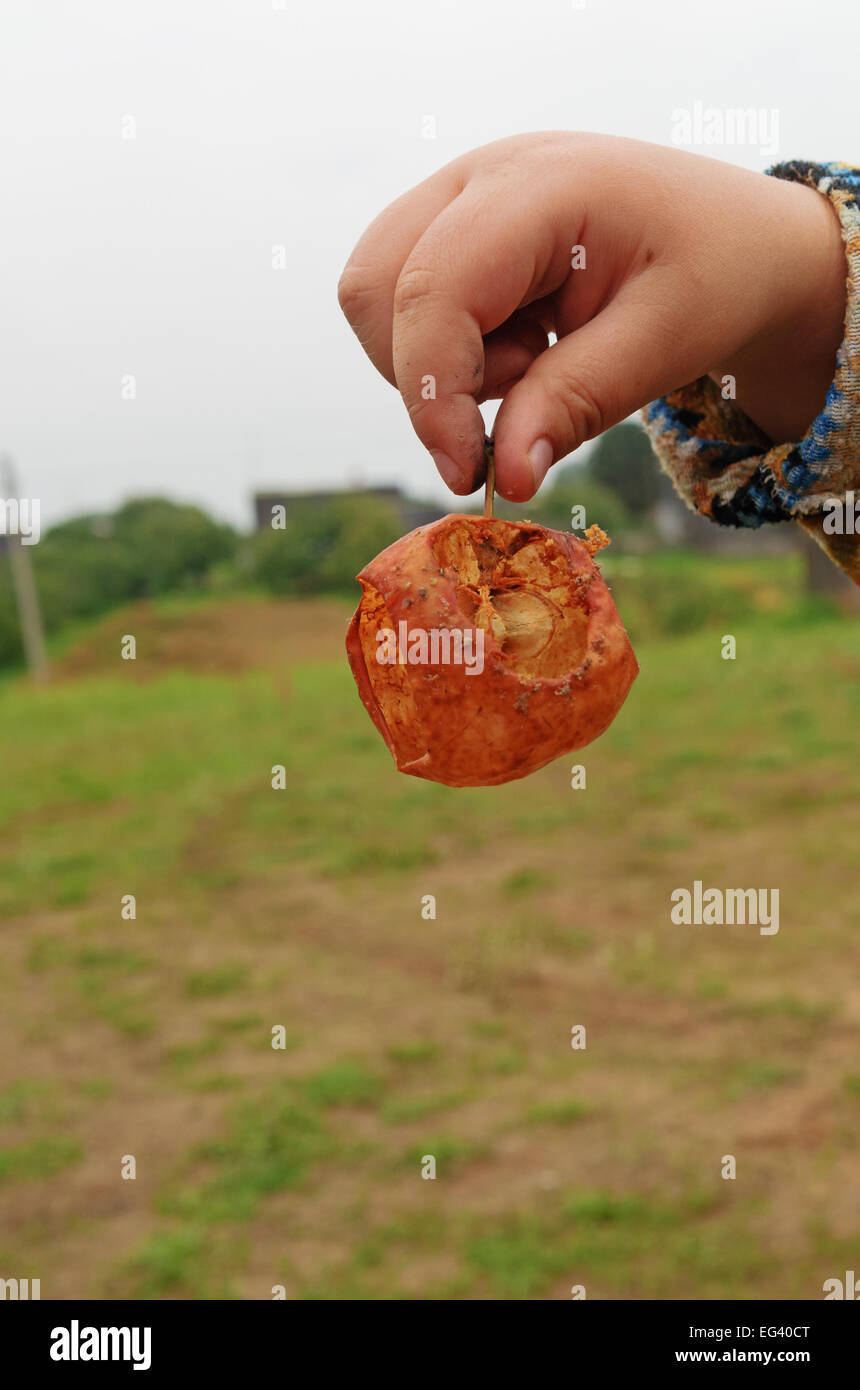 Attractive flower skeleton hi-res stock photography and images - Alamy