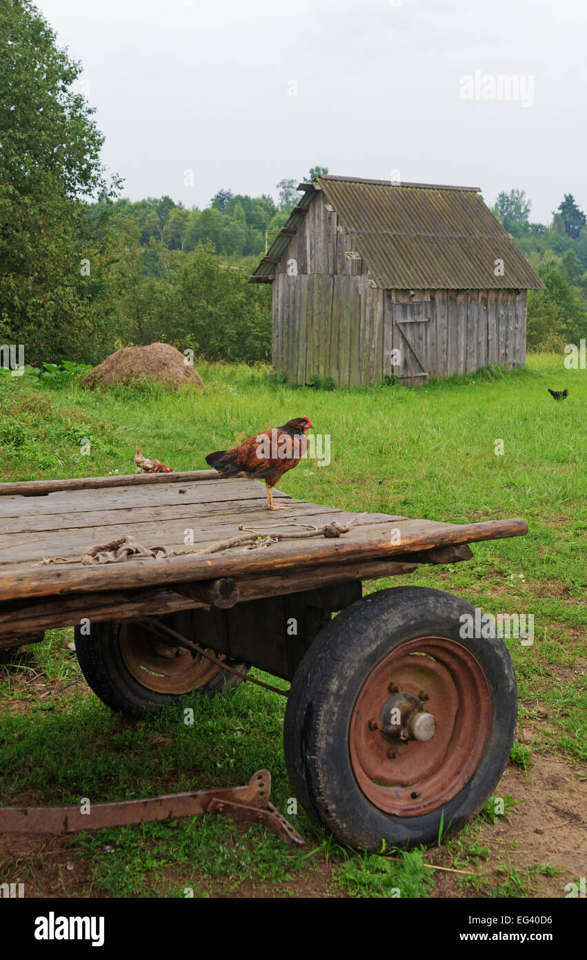Horse cart and hen in the rural yard Stock Photo - Alamy
