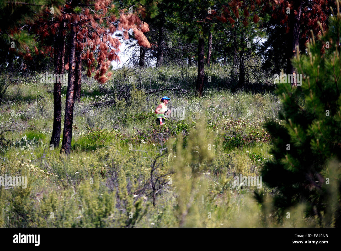 A trail runner running the trails at Echo Ridge in eastern Washington ...