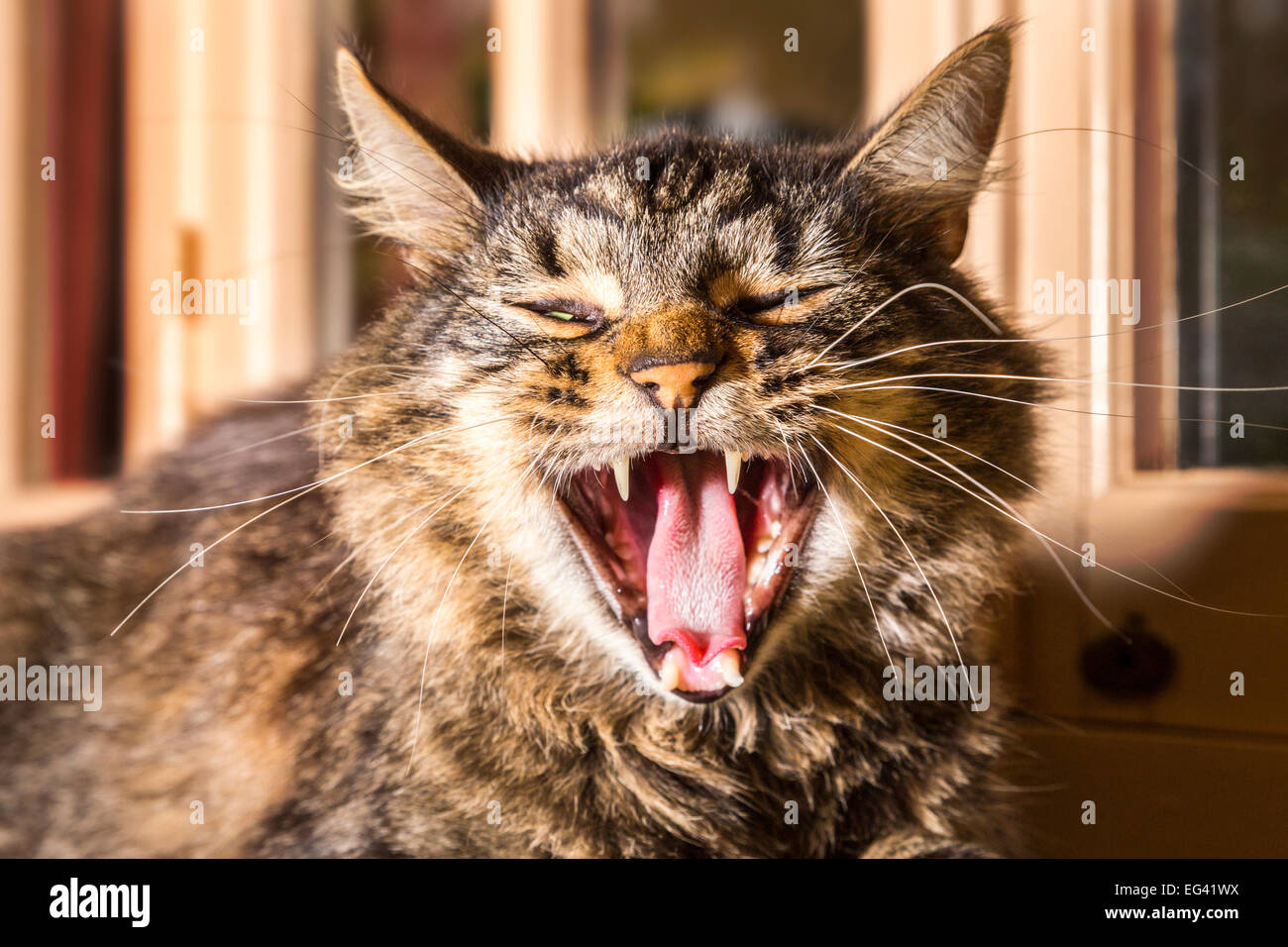 Loungeroom hi-res stock photography and images - Alamy