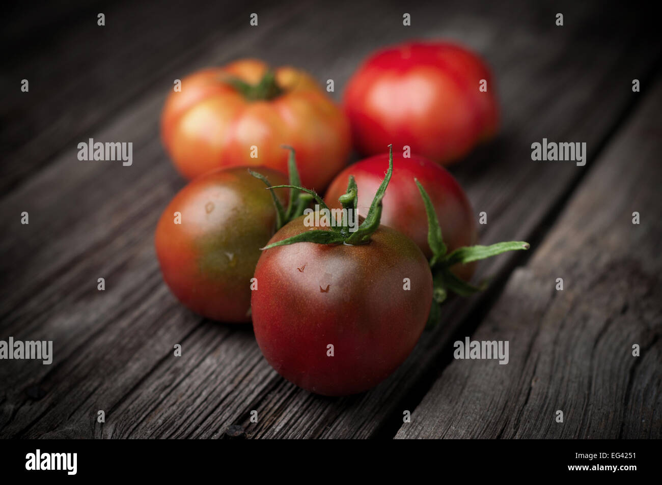 Canning tomatoes hi-res stock photography and images - Alamy