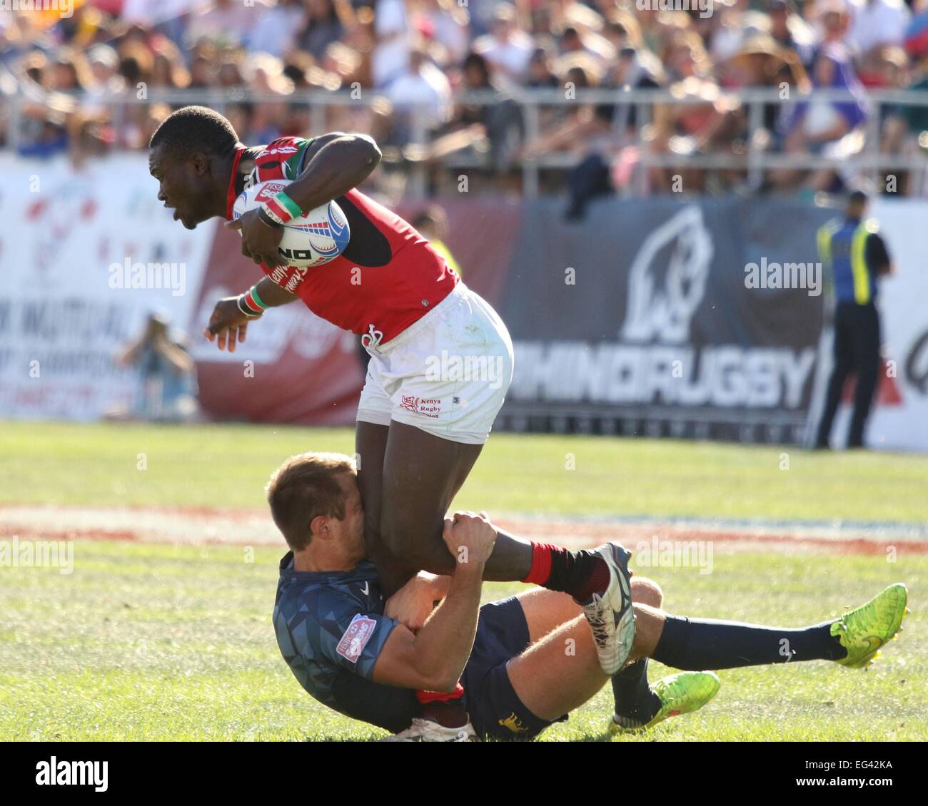 Bush mwale hi-res stock photography and images - Alamy