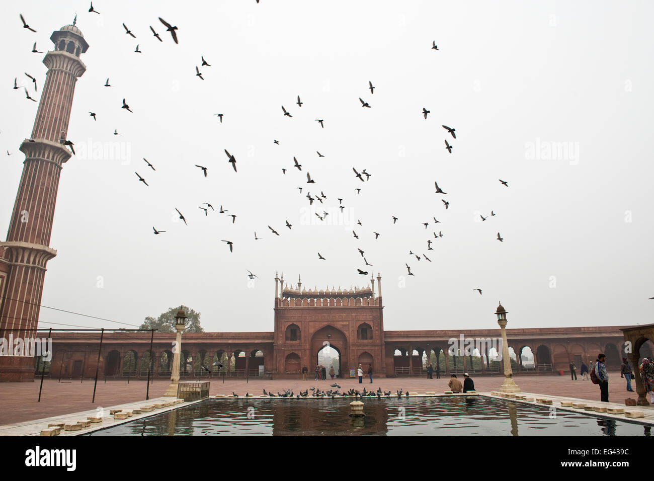 India, New Delhi, Jama Masjid mosque Stock Photo - Alamy