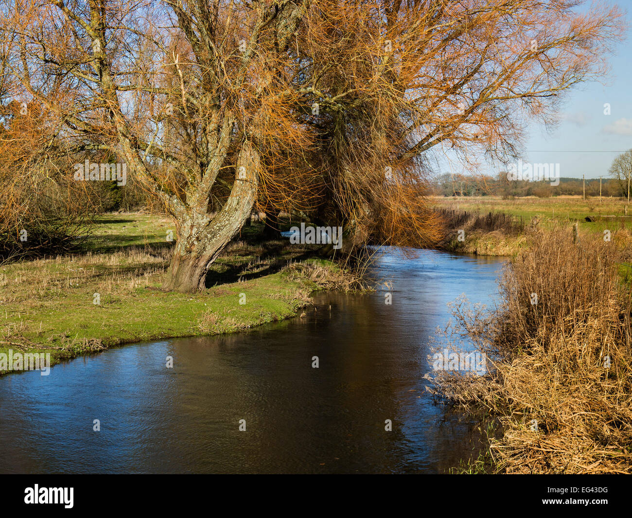River View in Avon Valley at Harbridge, Fordingbridge, Hampshire ...