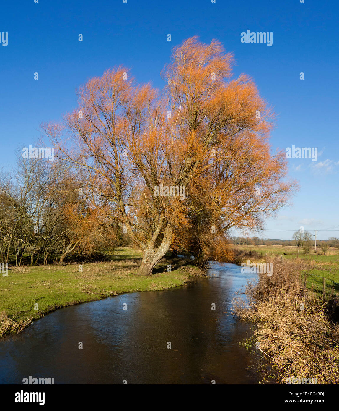 River View in Avon Valley at Harbridge, Fordingbridge, Hampshire ...
