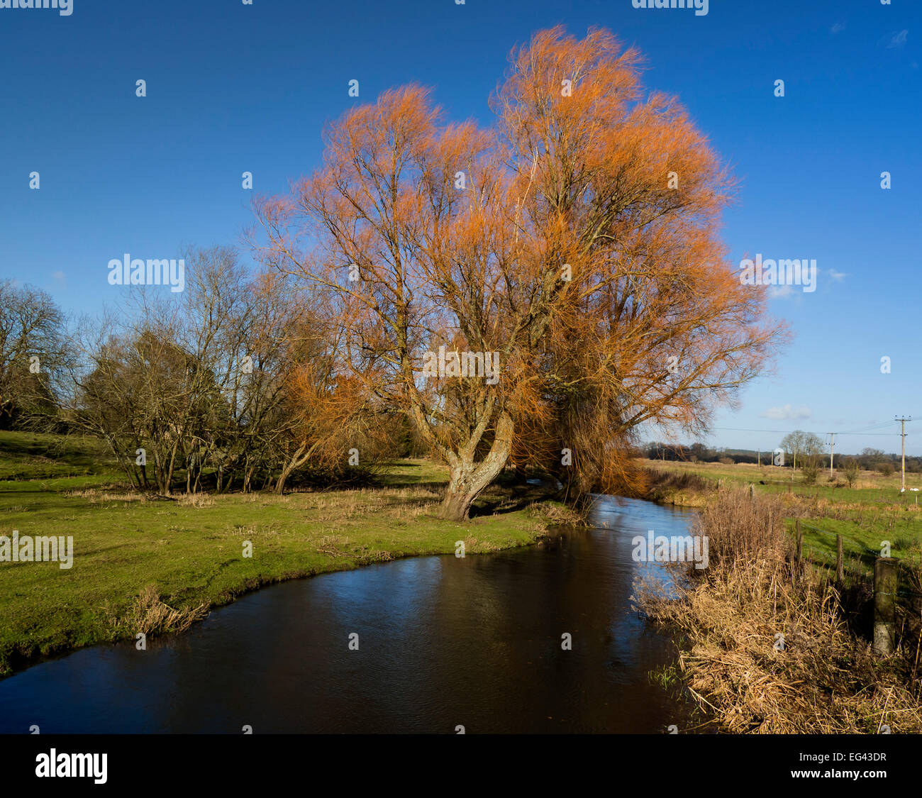 River View in Avon Valley at Harbridge, Fordingbridge, Hampshire ...