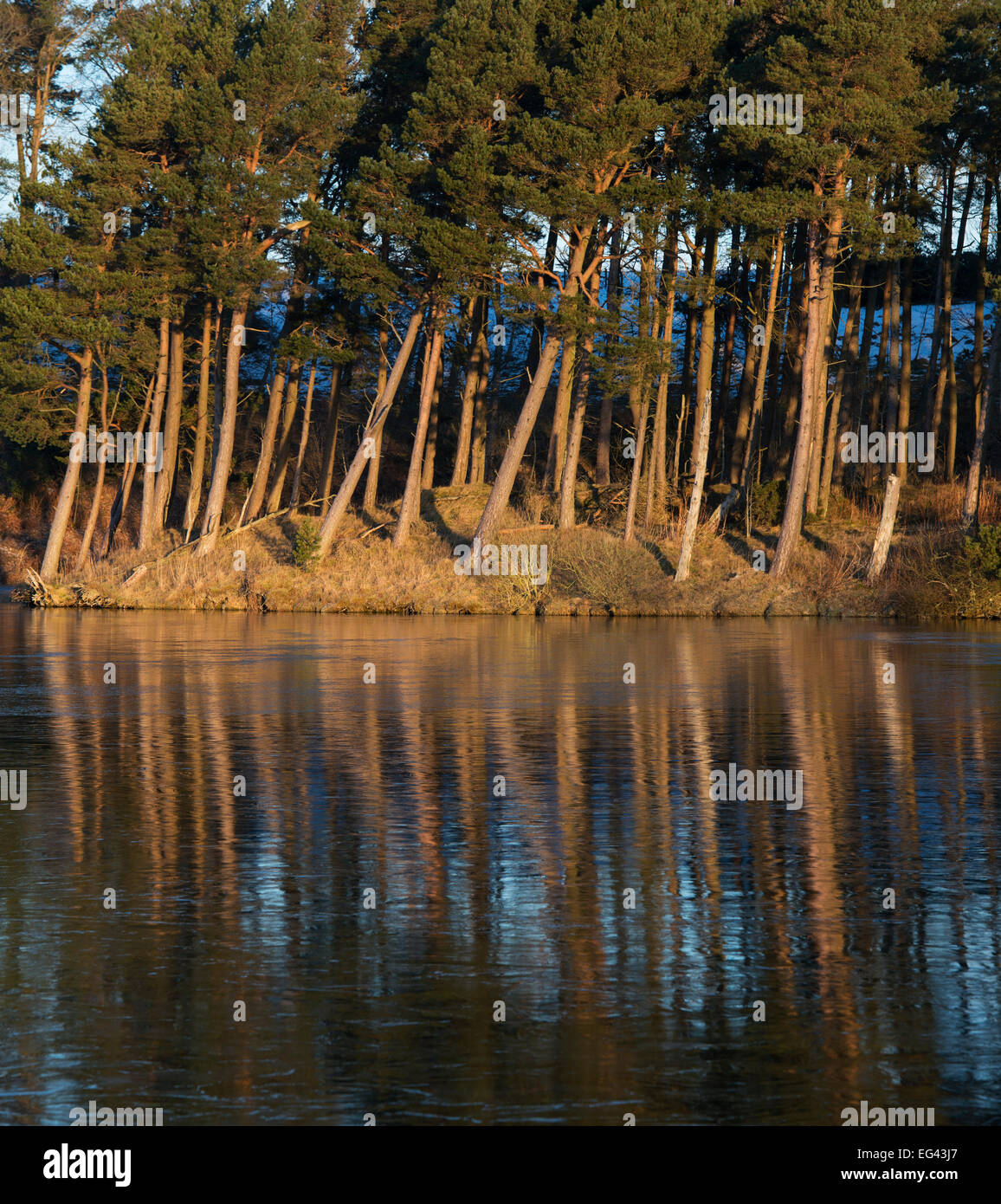 Selkirk lake ice water hi-res stock photography and images - Alamy