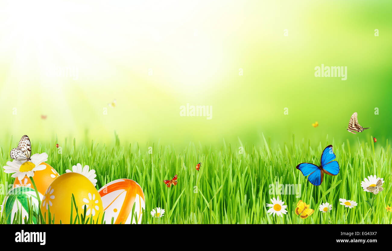 Spring meadow with Easter eggs and butterflies Stock Photo - Alamy