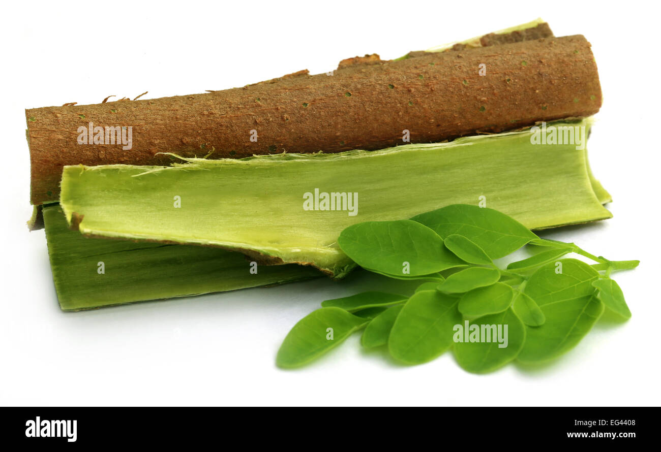 Moringa leaves and bark over white background Stock Photo - Alamy