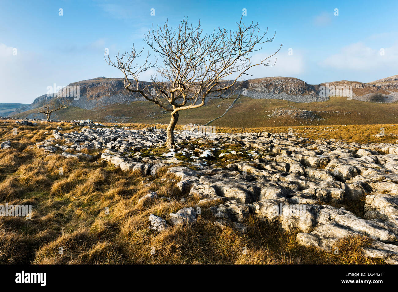 Limestone landform hi-res stock photography and images - Alamy