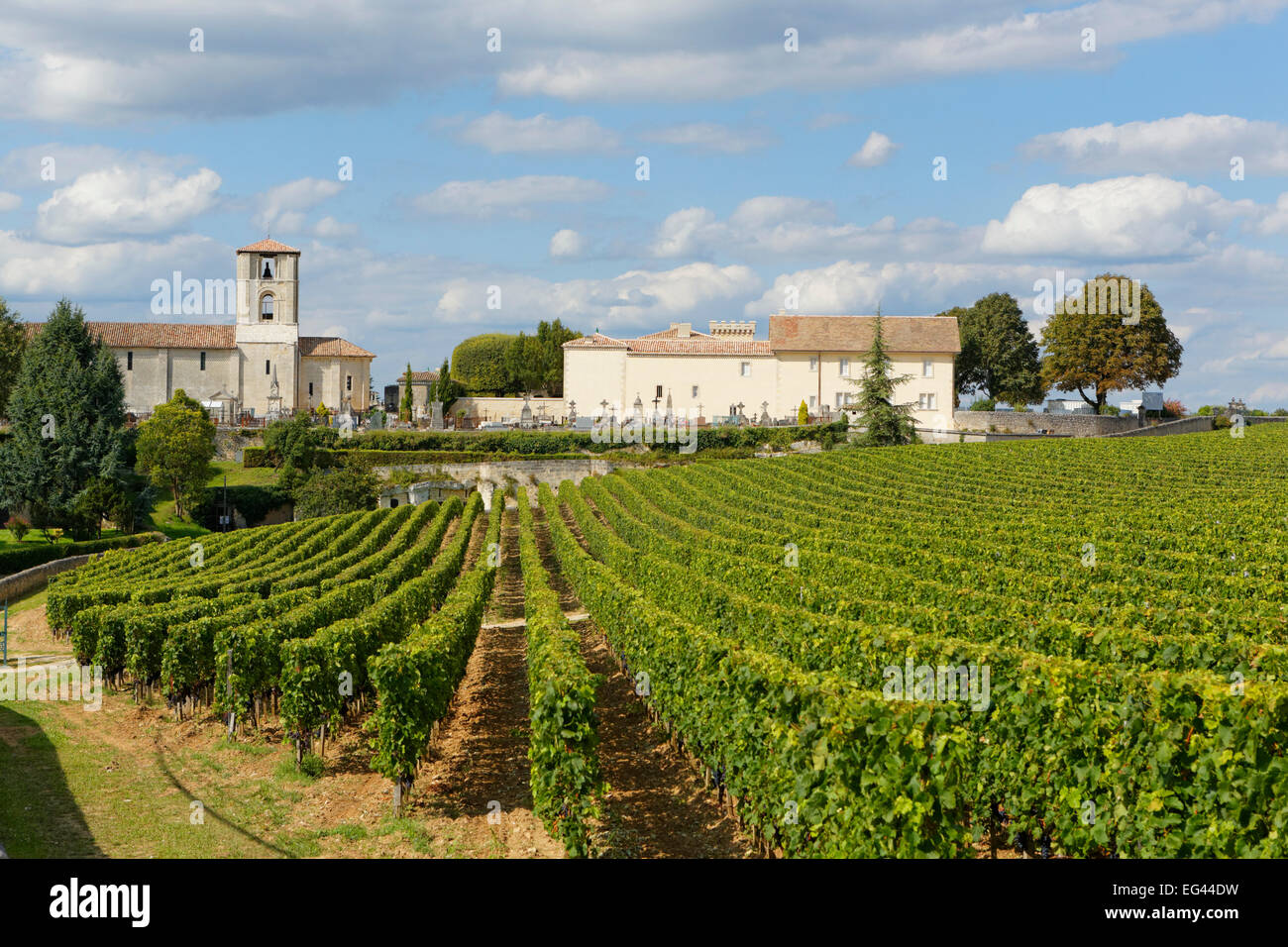 Vineyard of Chateau Canon, Premier Grand Cru Classe B (Classification ...