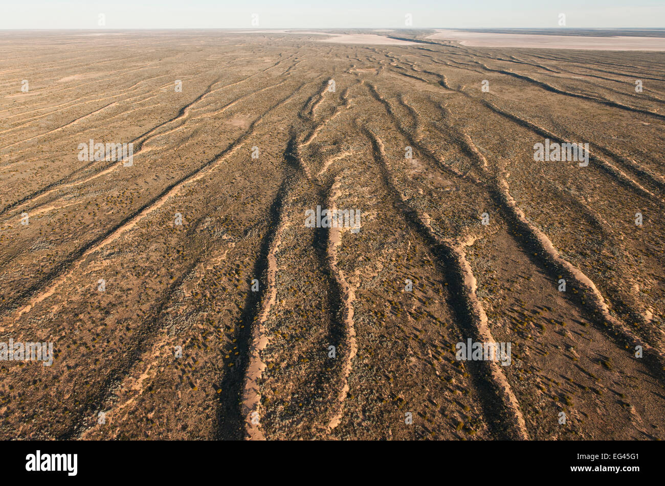 Aerial sand dunes Simpson Desert Regional Reserve. South Australia June ...