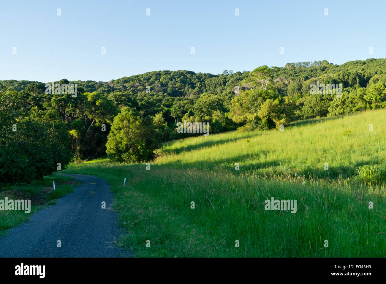 a countryside road in late summer afternoon Stock Photo - Alamy