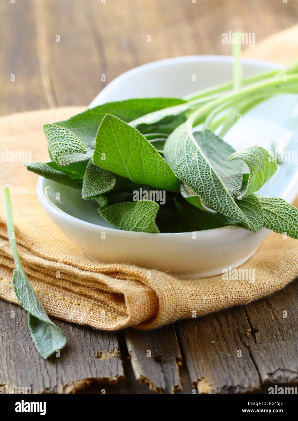 Fresh sage herb hi-res stock photography and images - Alamy