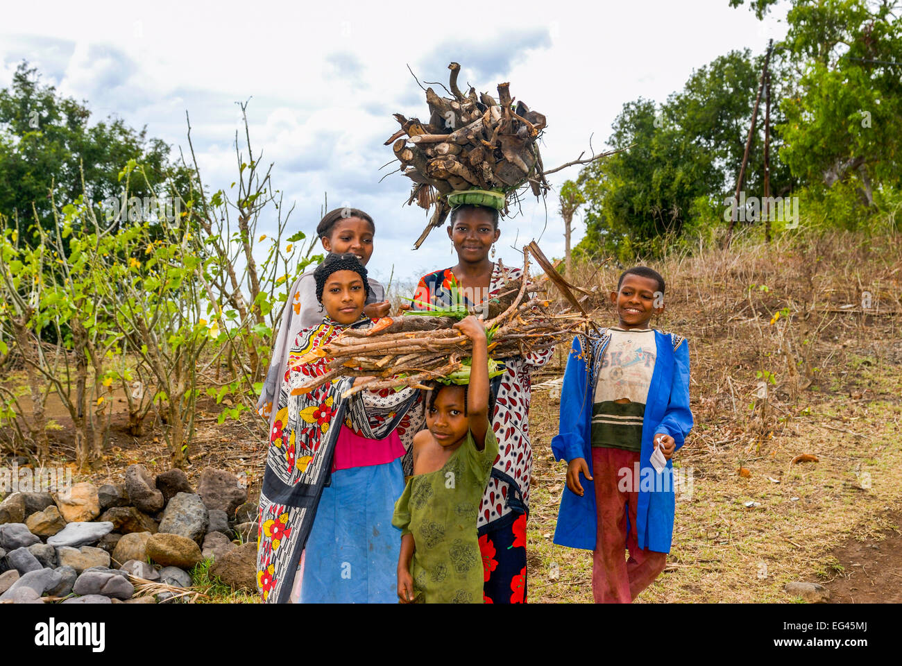 Girl carrying firewood hi-res stock photography and images - Alamy