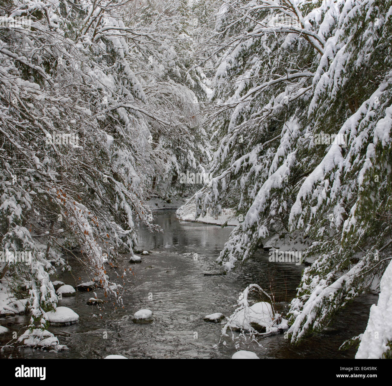 Yamaska river in winter, Eastern Townships, Quebec, Canada Stock Photo ...