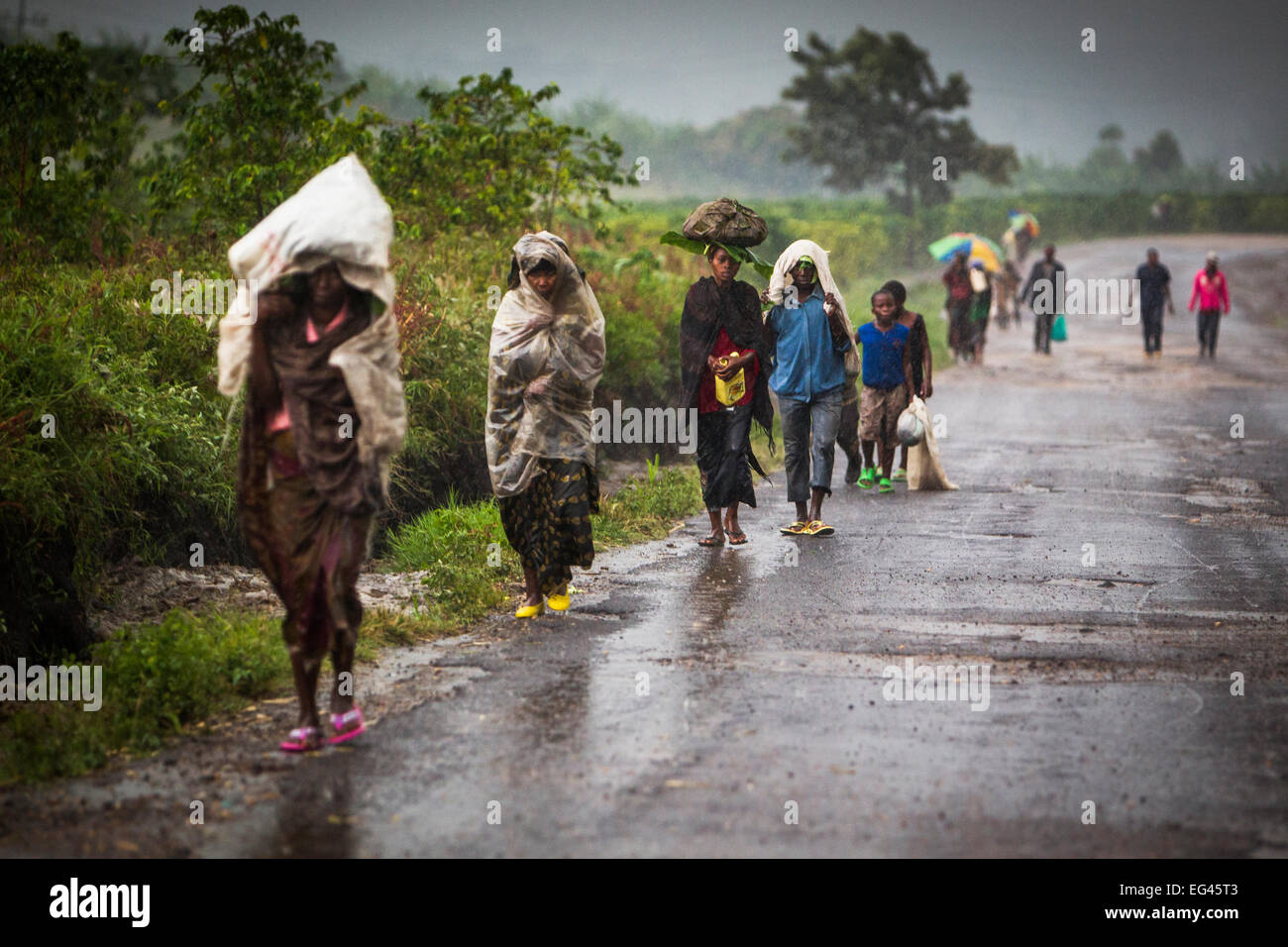 Villagers walking along road during heavy rain shower Virunga National ...
