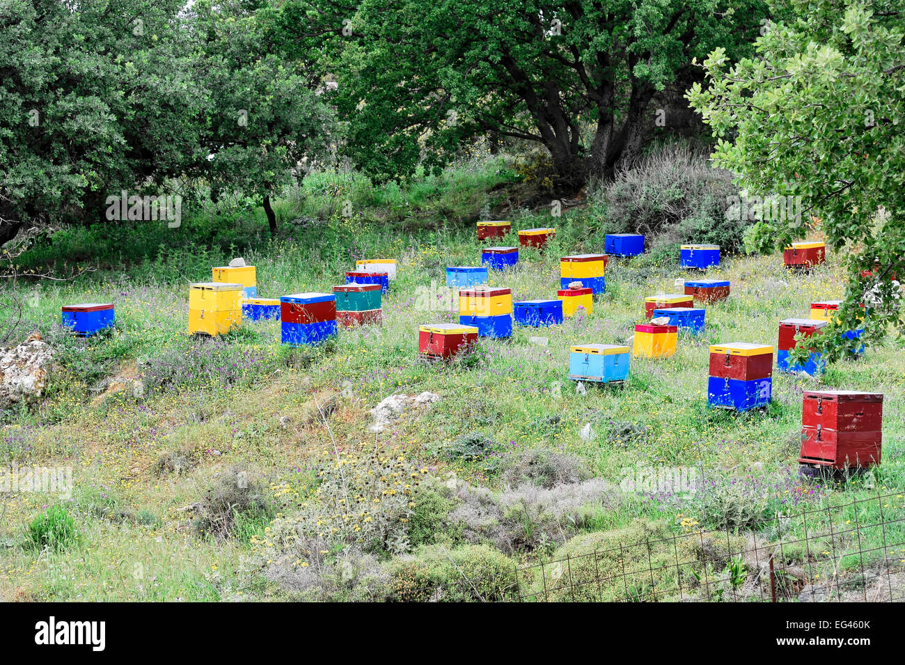 Beehives greece hi-res stock photography and images - Alamy