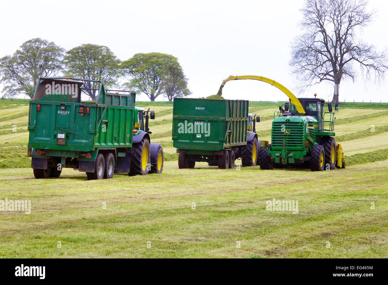 Silage Harvester Stock Photos & Silage Harvester Stock Images - Alamy