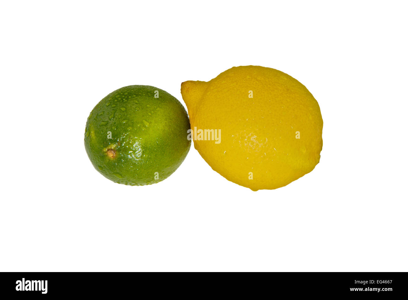 Lemon and Lime - a lemon and a lime isolated against white background ...