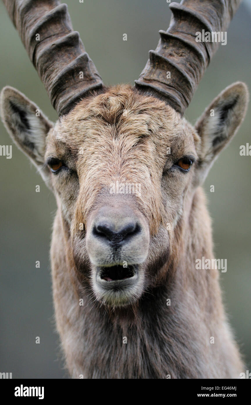 Aiguilles rouges national nature reserve hi-res stock photography and ...