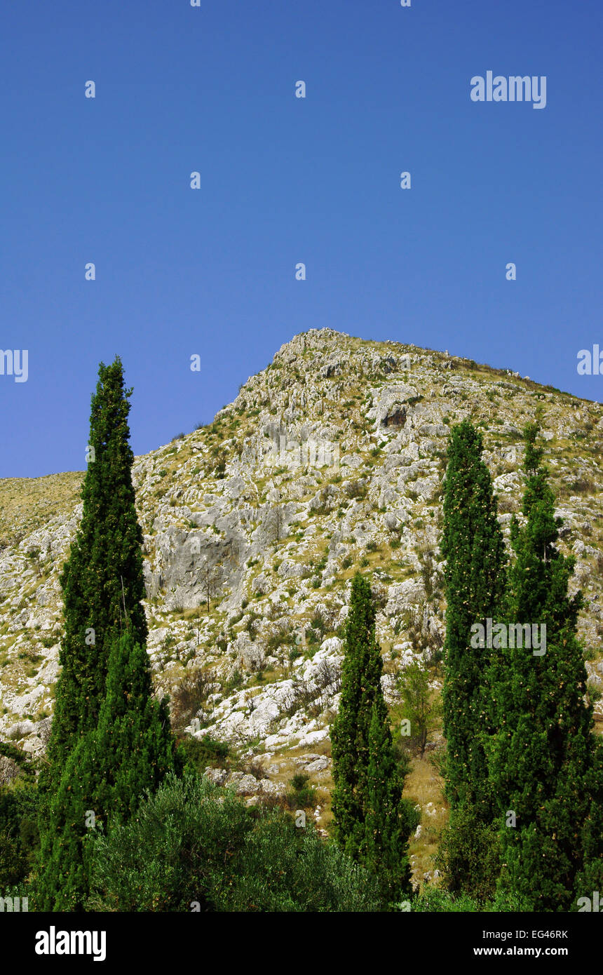 pine trees in mountains on Zakynthos island, Greece Stock Photo - Alamy