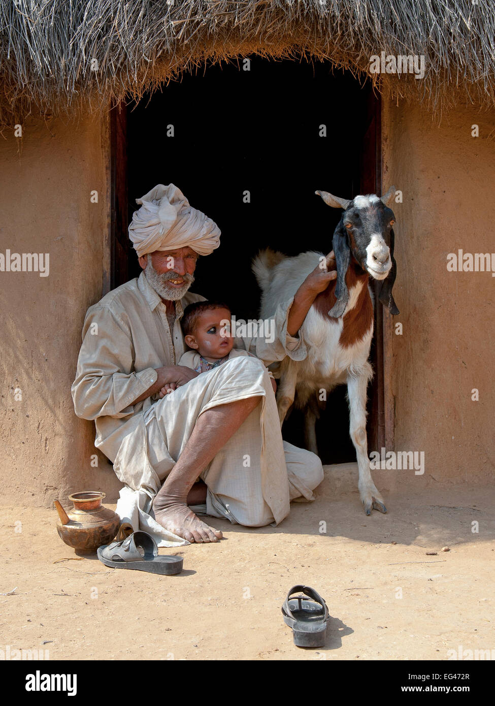 Goat keeper baby domestic goat (Capra aegagrus hircus) Thar Desert ...
