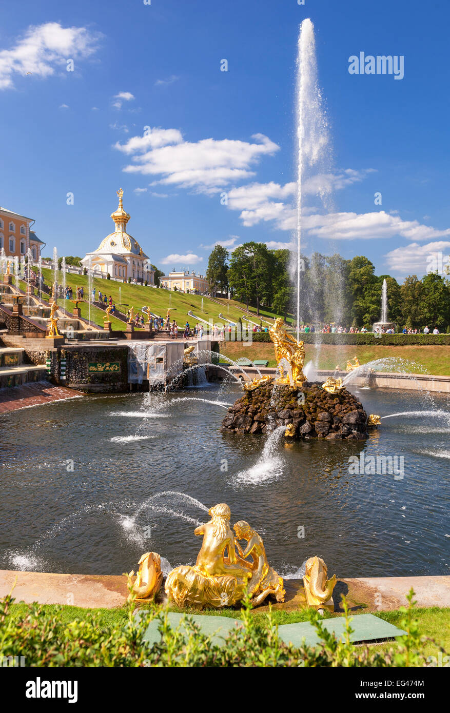 The Peterhof fountain "Samson tearing the lion's mouth" in sunny day ...