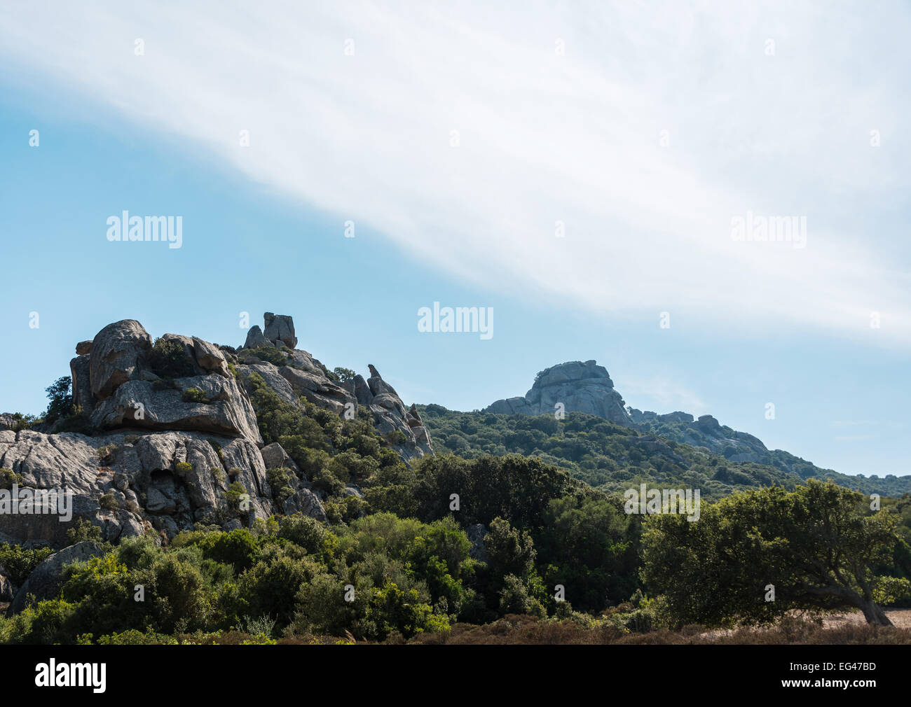 Wooded Landscape at Cauria, Corsica, France Stock Photo - Alamy