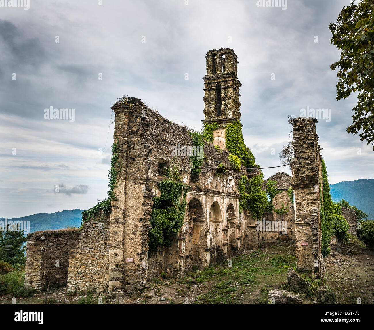 Former Franciscan Monastery of Orezza, ruins of a church in front of a ...