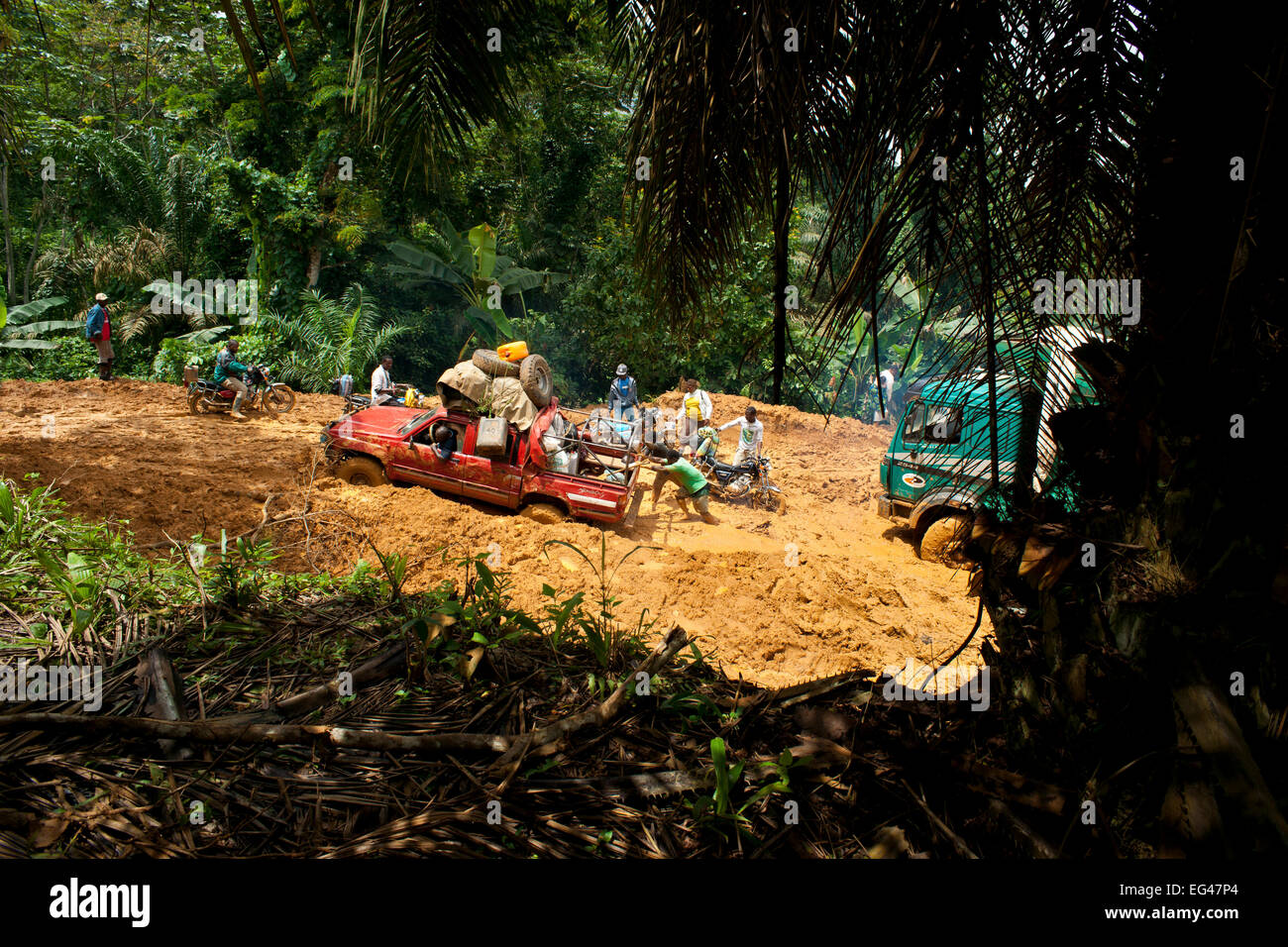African rainforest transport penetration. Road associated ...