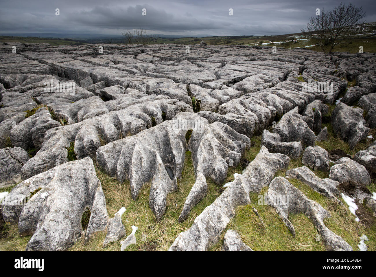 Limestone pavement above Malham Cove Yorkshire Stock Photo - Alamy