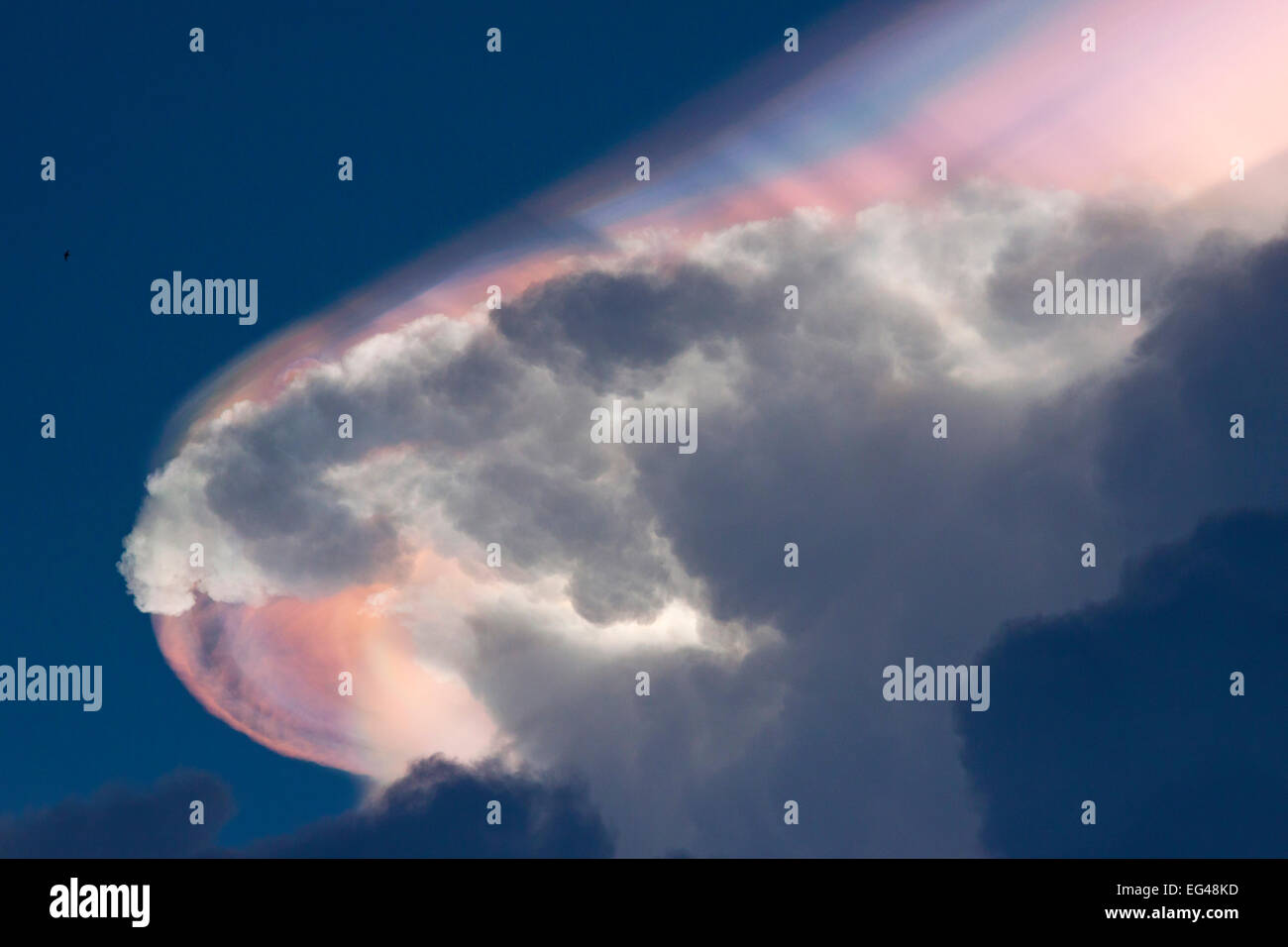 Cloud iridescence forming above cumulonimbus cloud caused by light ...