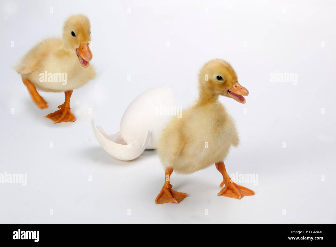 Blue hatched hi-res stock photography and images - Alamy