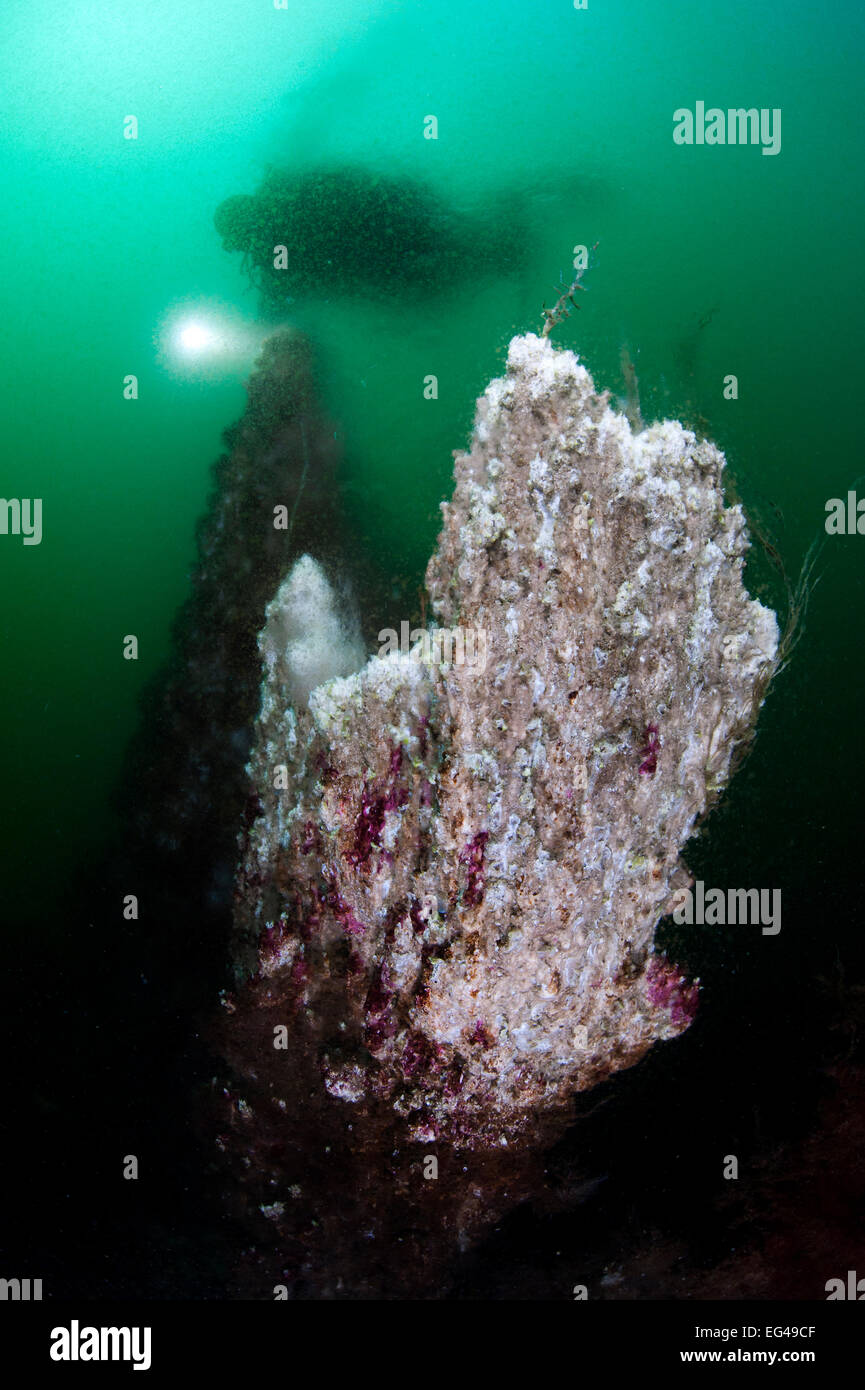 A diver hydrothermal chimney. Note that he is obscured by the different ...
