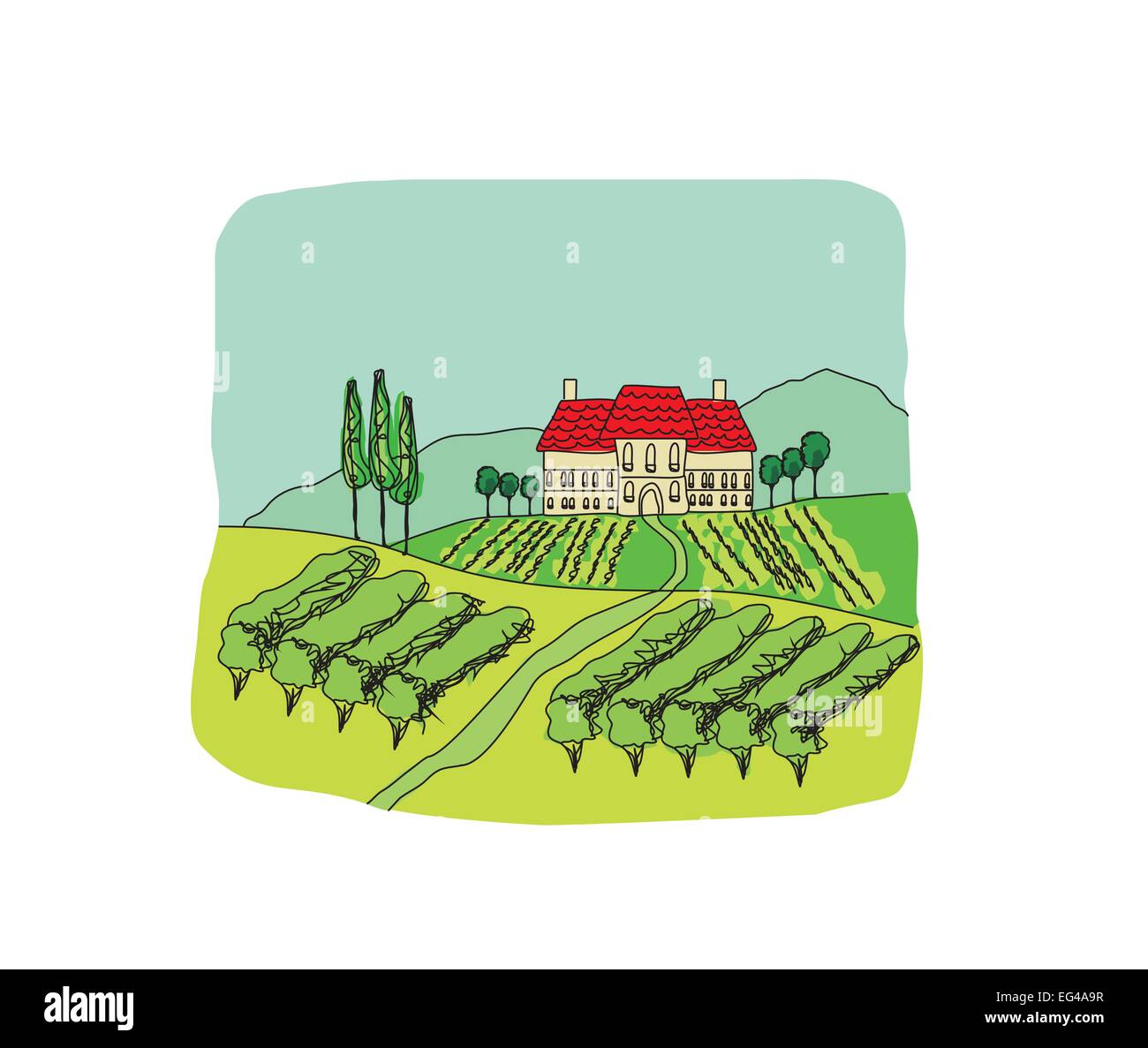 Vector illustration of vineyard Stock Vector Image & Art - Alamy