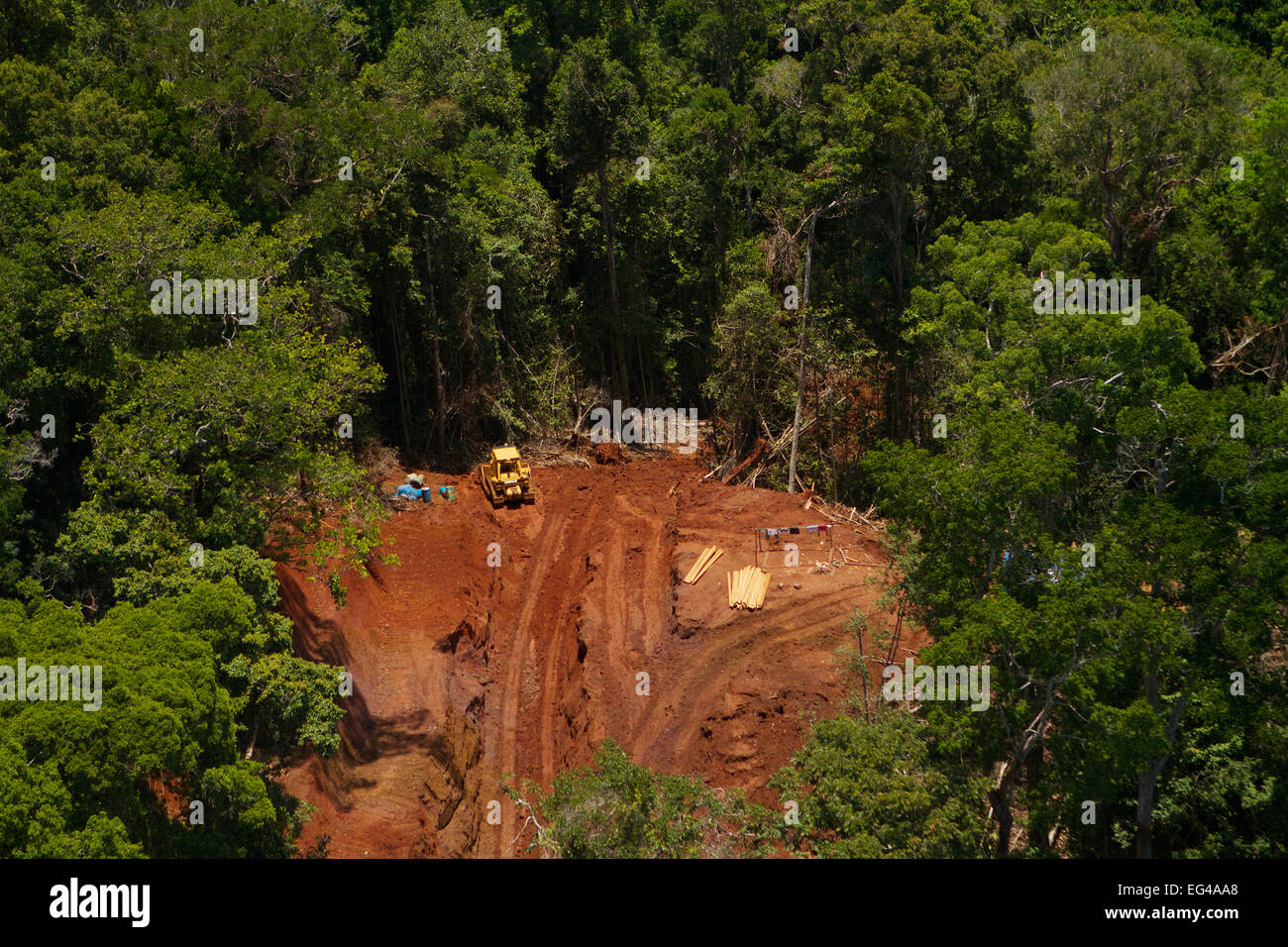 Logging road forest destruction in pristine area Waigeo Island West ...