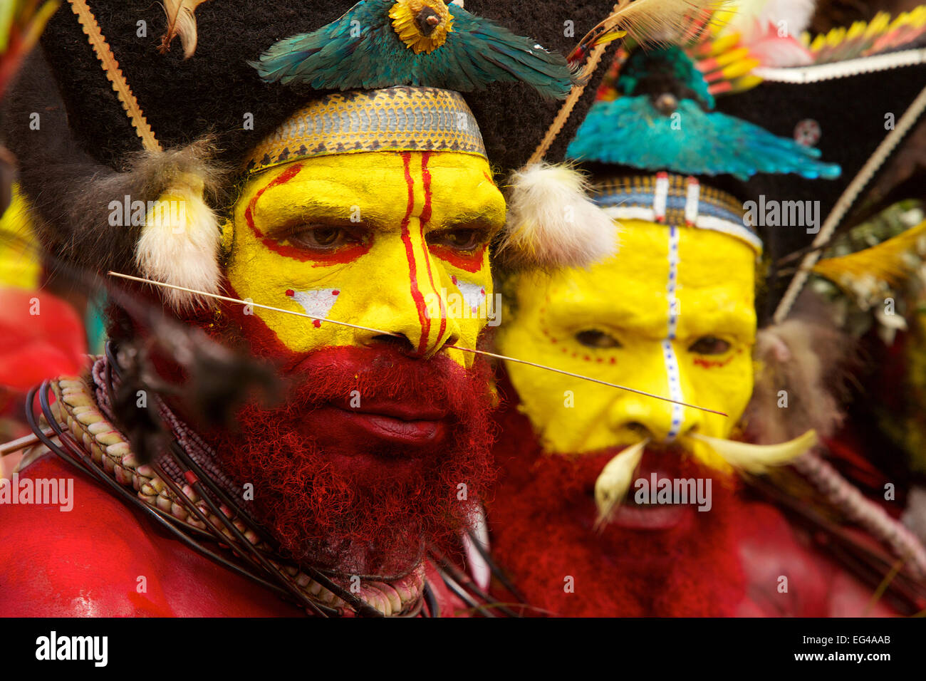 Huli "singsing" dance ceremony. Huli wigmen wearing human hair wigs ...