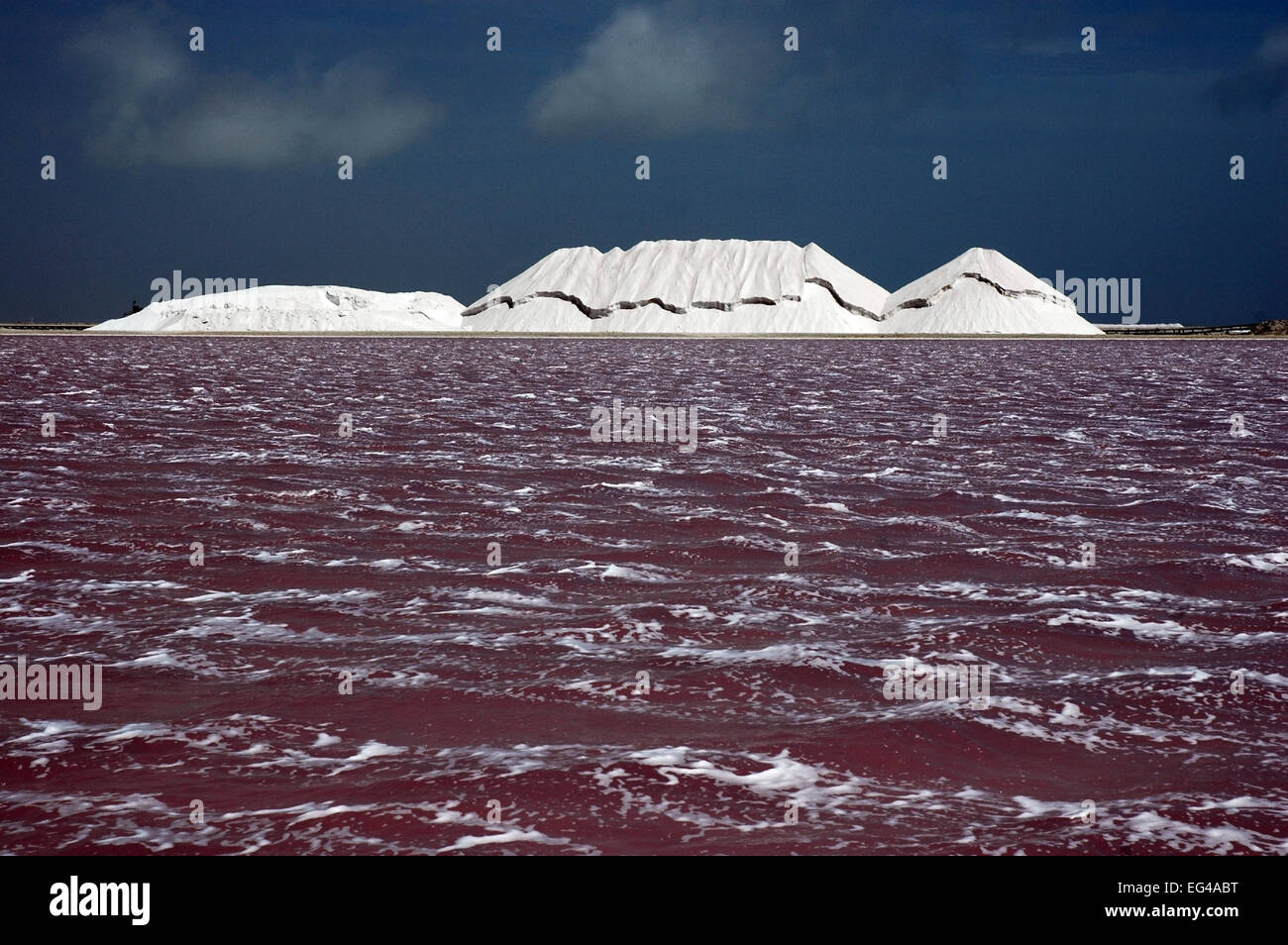 Bonaire salt flats hi-res stock photography and images - Alamy