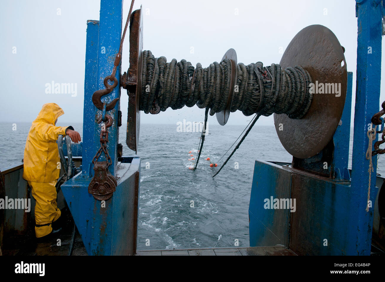 Fisherman hauling back trawler net on fishing trawler. Stellwagen Banks ...