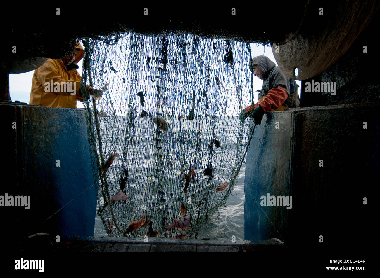 Fishermen hauling back trawler net on fishing trawler. Stellwagen Banks ...
