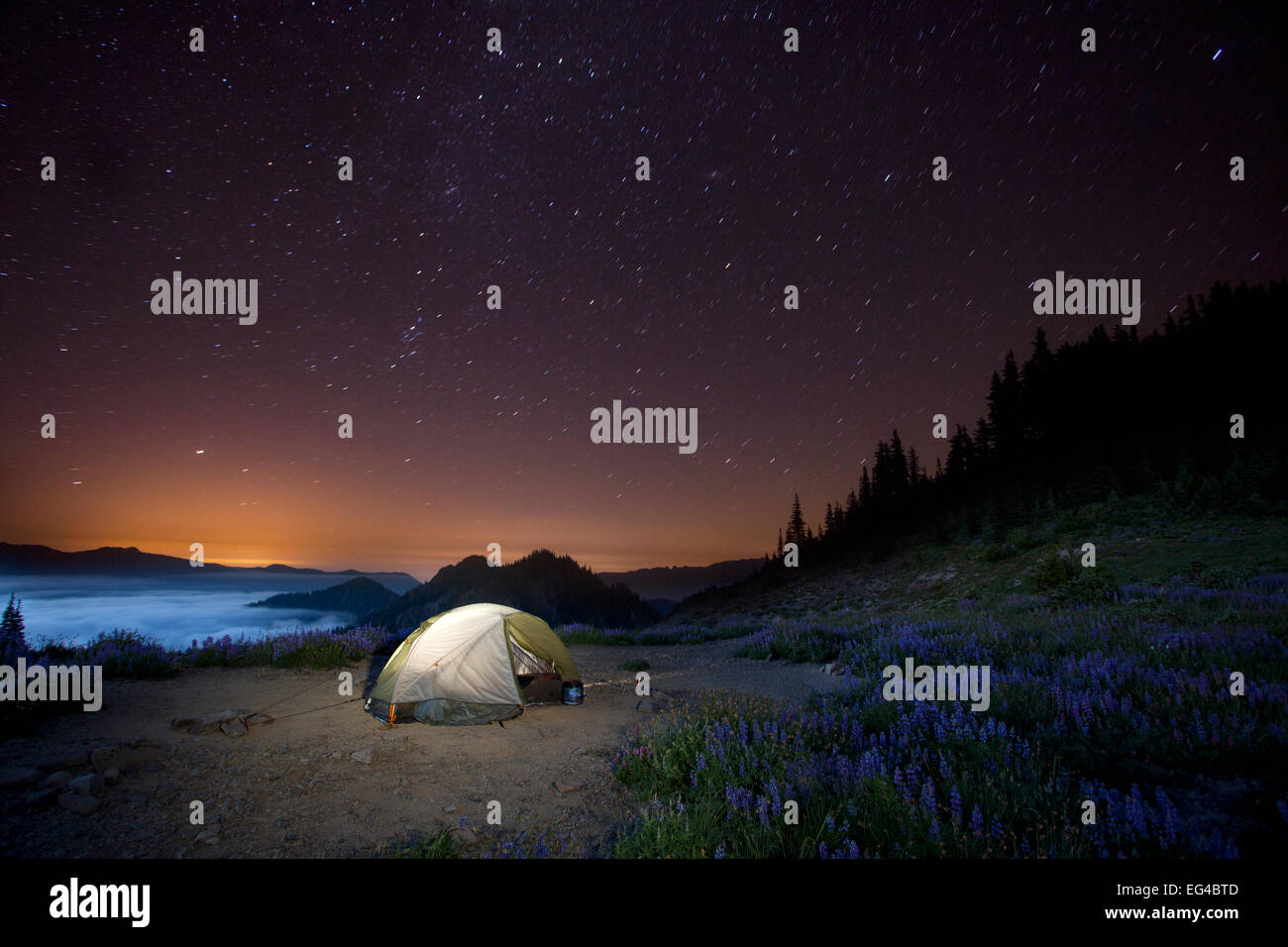 Camp site at night above Appleton Pass in Olympic National Park ...