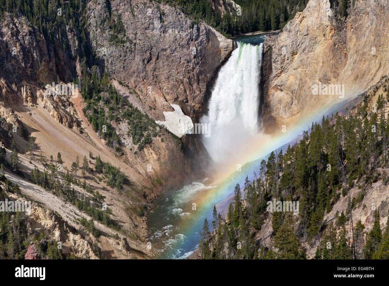Lower Yellowstone Falls rainbow on the Yellowstone River viewed Lookout Point Trail Yellowstone ...