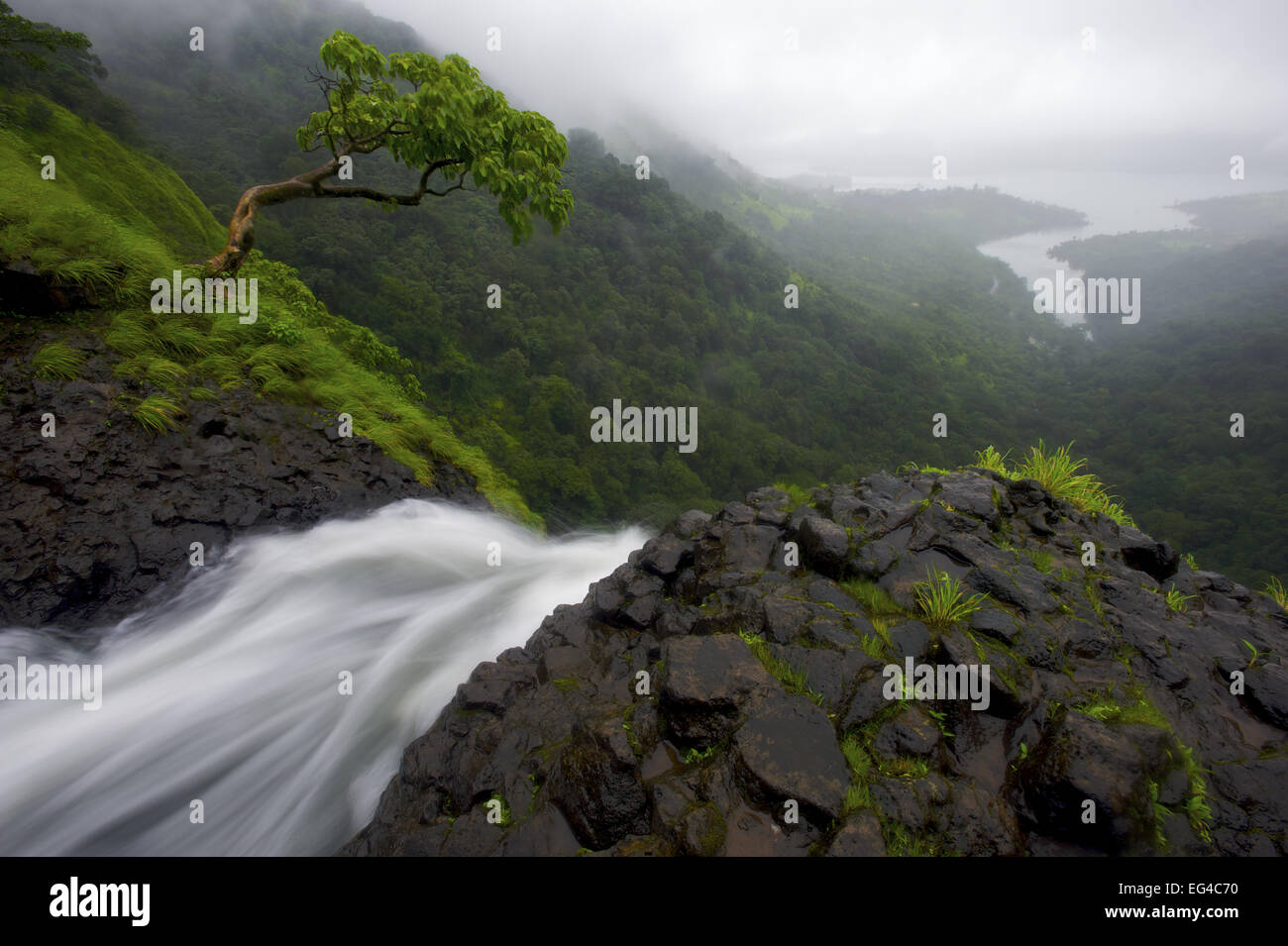 View the top the Ozarde waterfalls near Koyna Lake during the monsoon ...