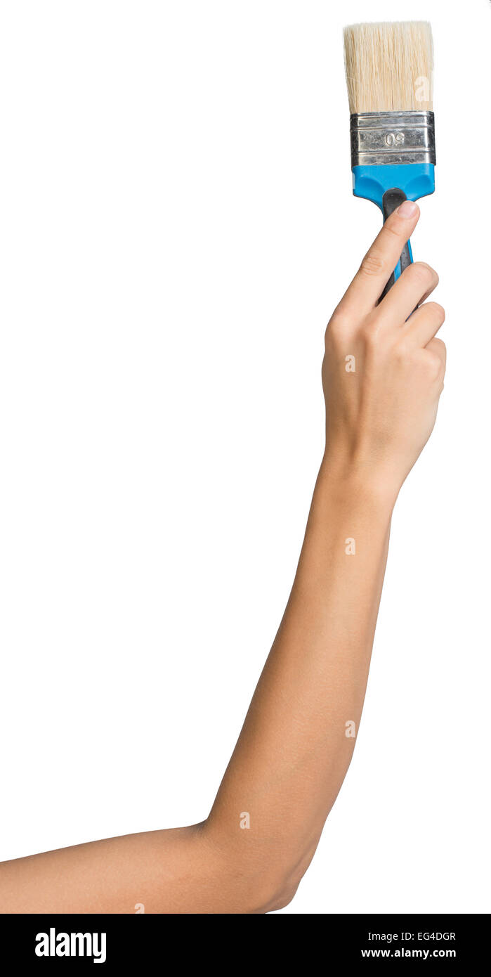Female hand holding paint-brush Stock Photo - Alamy